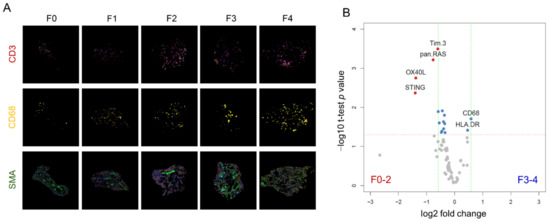 Multiplexed Digital Spatial Protein Profiling Reveals Distinct ...