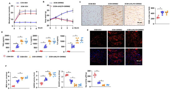 KLF9 Aggravates Streptozotocin-Induced Diabetic Cardiomyopathy by ...