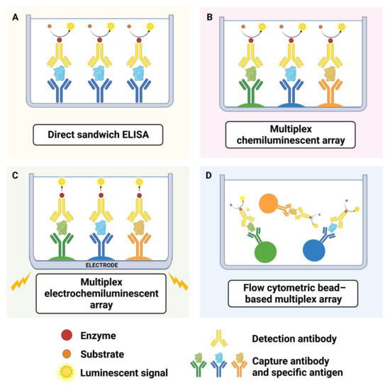 Assaying Microglia Functions In Vitro