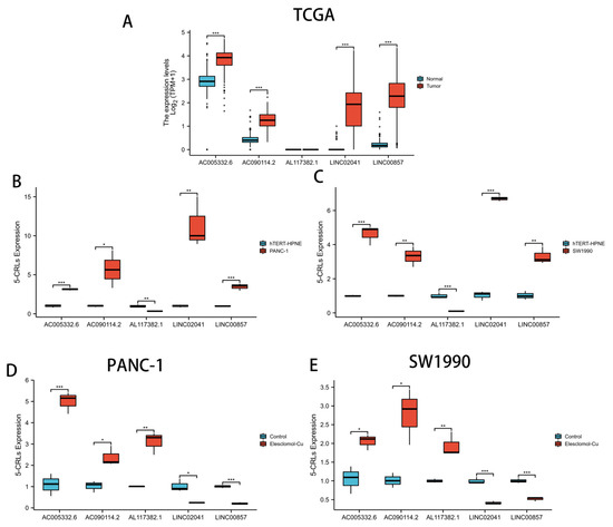 Cuprotosis Programmed-Cell-Death-Related lncRNA Signature Predicts ...
