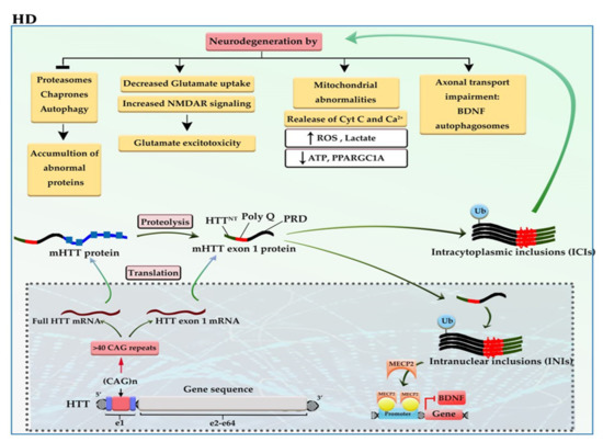 The DNA Methylation in Neurological Diseases