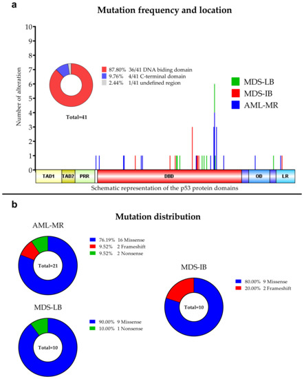 Deep Molecular and In Silico Protein Analysis of p53 Alteration in ...