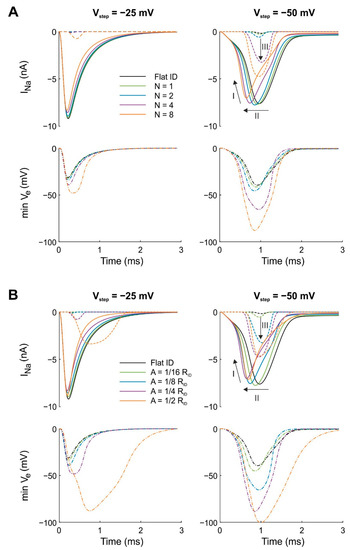 Tortuous Cardiac Intercalated Discs Modulate Ephaptic Coupling