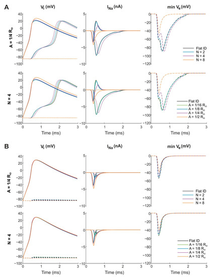 Tortuous Cardiac Intercalated Discs Modulate Ephaptic Coupling