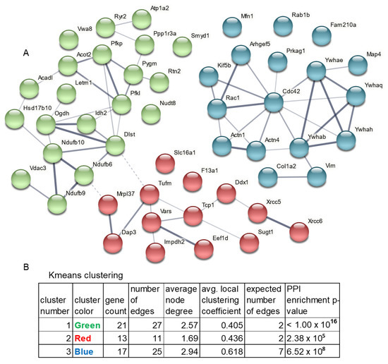 Cells | Free Full-Text | Proteomic Landscape and Deduced Functions of ...