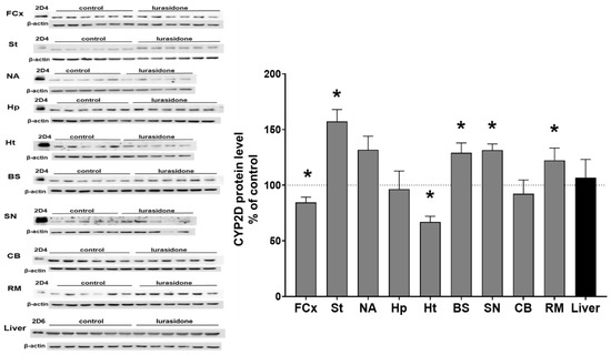 The Atypical Antipsychotic Lurasidone Affects Brain but Not Liver ...