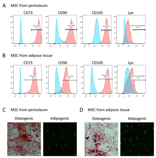 Cells | Free Full-Text | Dynamic Balance between PTH1R-Dependent Signal ...