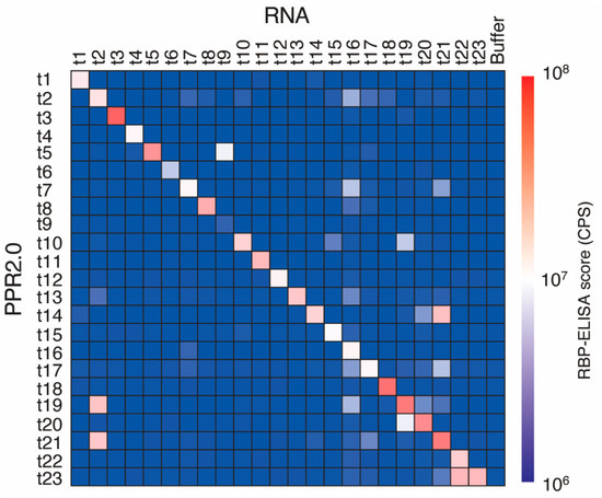 Construction of a Versatile, Programmable RNA-Binding Protein Using ...