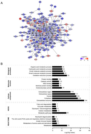 Cortical Pathology in Vanishing White Matter