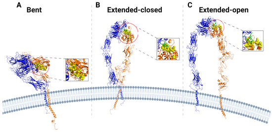 Integrin Conformational Dynamics and Mechanotransduction