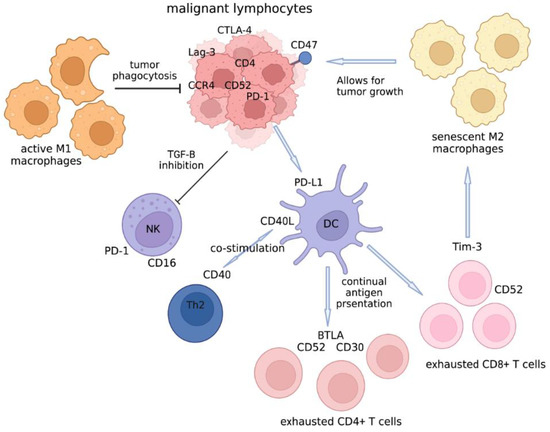 Targeting the CD47-SIRPα Axis: Present Therapies and the Future for Cutaneous T-cell Lymphoma
