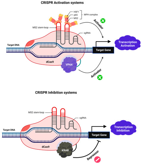 CRISPR-Cas9 Technology for the Creation of Biological Avatars Capable of Modeling and Treating ...