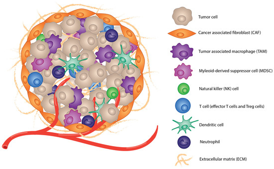 Tumor Microenvironment Immunosuppression: A Roadblock to CAR T-Cell ...