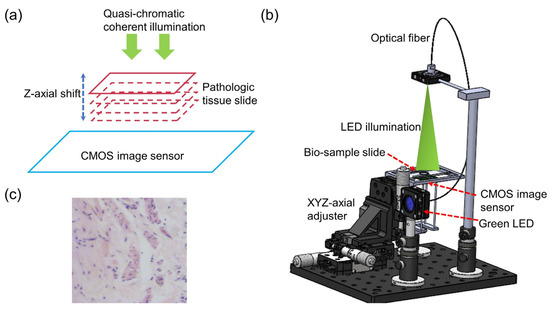 Computational Portable Microscopes for Point-of-Care-Test and Tele ...