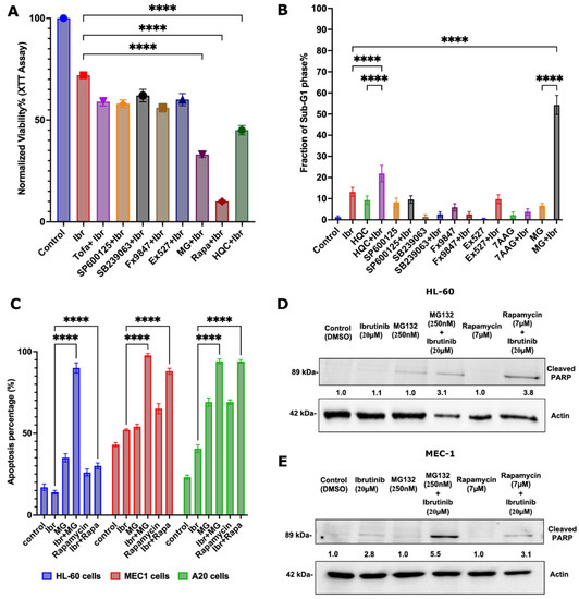 Search for Synergistic Drug Combinations to Treat Chronic Lymphocytic ...
