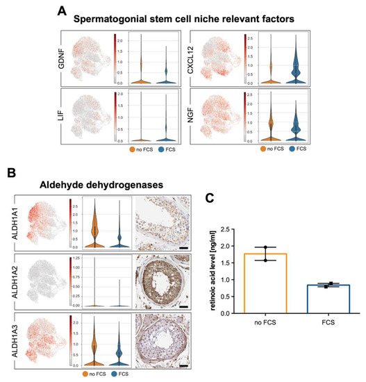 The Molecular Signature of Human Testicular Peritubular Cells Revealed ...