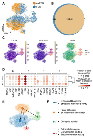 The Molecular Signature of Human Testicular Peritubular Cells Revealed ...
