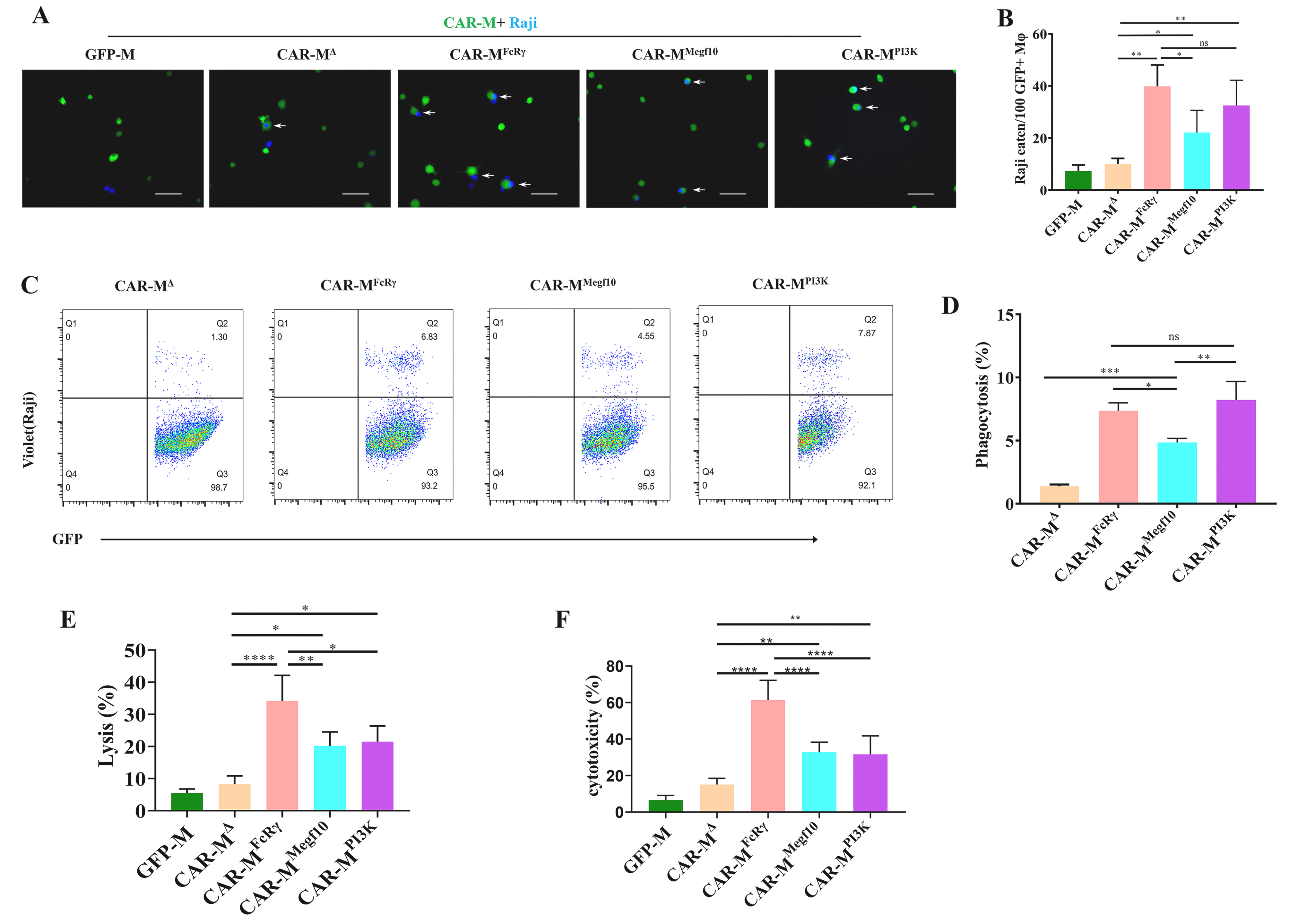 Cells | Free Full-Text | CAR-Macrophages and CAR-T Cells ...