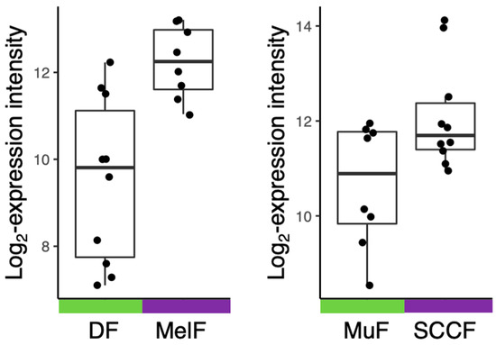 The Role of IL-6 in Cancer Cell Invasiveness and Metastasis—Overview ...