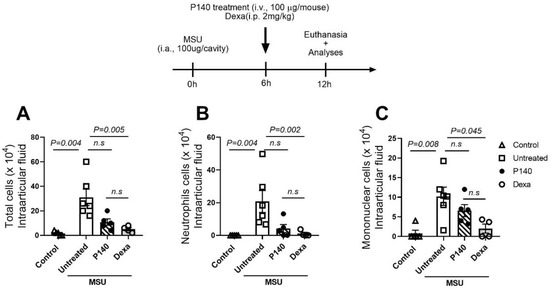 The Therapeutic Effect of Phosphopeptide P140 Attenuates Inflammation ...