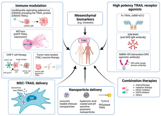 Targeting TRAIL Death Receptors in Triple-Negative Breast Cancers ...