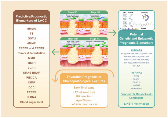 Comprehensive Review of Biomarkers for the Treatment of Locally ...