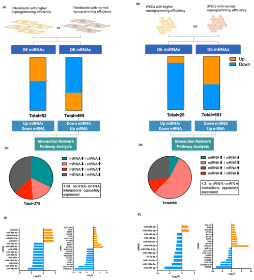 Combined Noncoding RNA-mRNA Regulomics Signature in Reprogramming and ...