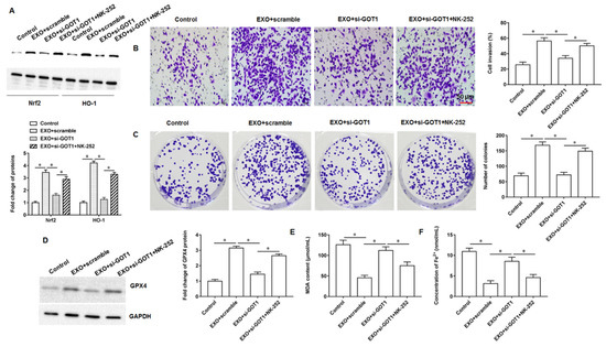 Tumor Cell Derived Exosomal GOT1 Suppresses Tumor Cell Ferroptosis to ...