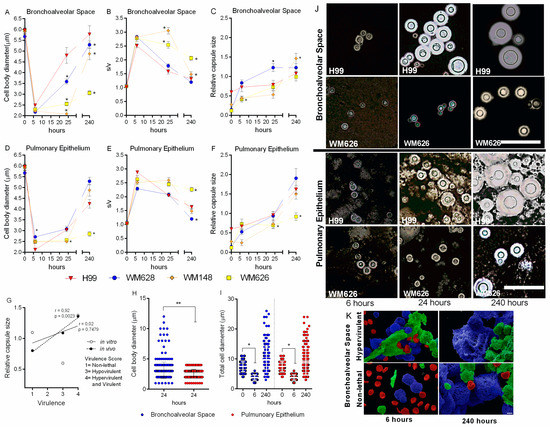 The Dynamics of Cryptococcus neoformans Cell and Transcriptional ...
