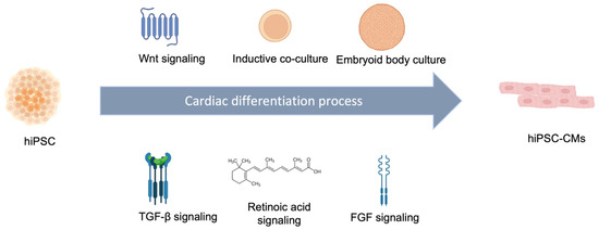 Advances in Cellular Reprogramming-Based Approaches for Heart ...