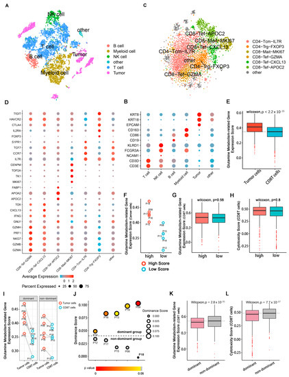 Unbalanced Glutamine Partitioning between CD8T Cells and Cancer Cells ...