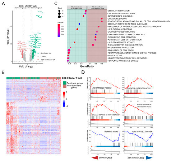 Cells | Free Full-Text | Unbalanced Glutamine Partitioning between CD8T ...