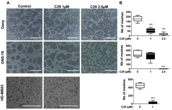 Targeting of the ELR+CXCL/CXCR1/2 Pathway Is a Relevant Strategy for ...