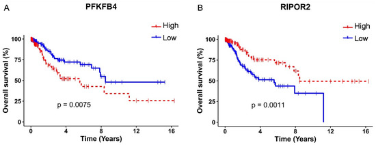 RIPOR2 Expression Decreased by HPV-16 E6 and E7 Oncoproteins: An ...