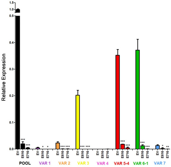 RIPOR2 Expression Decreased by HPV-16 E6 and E7 Oncoproteins: An ...
