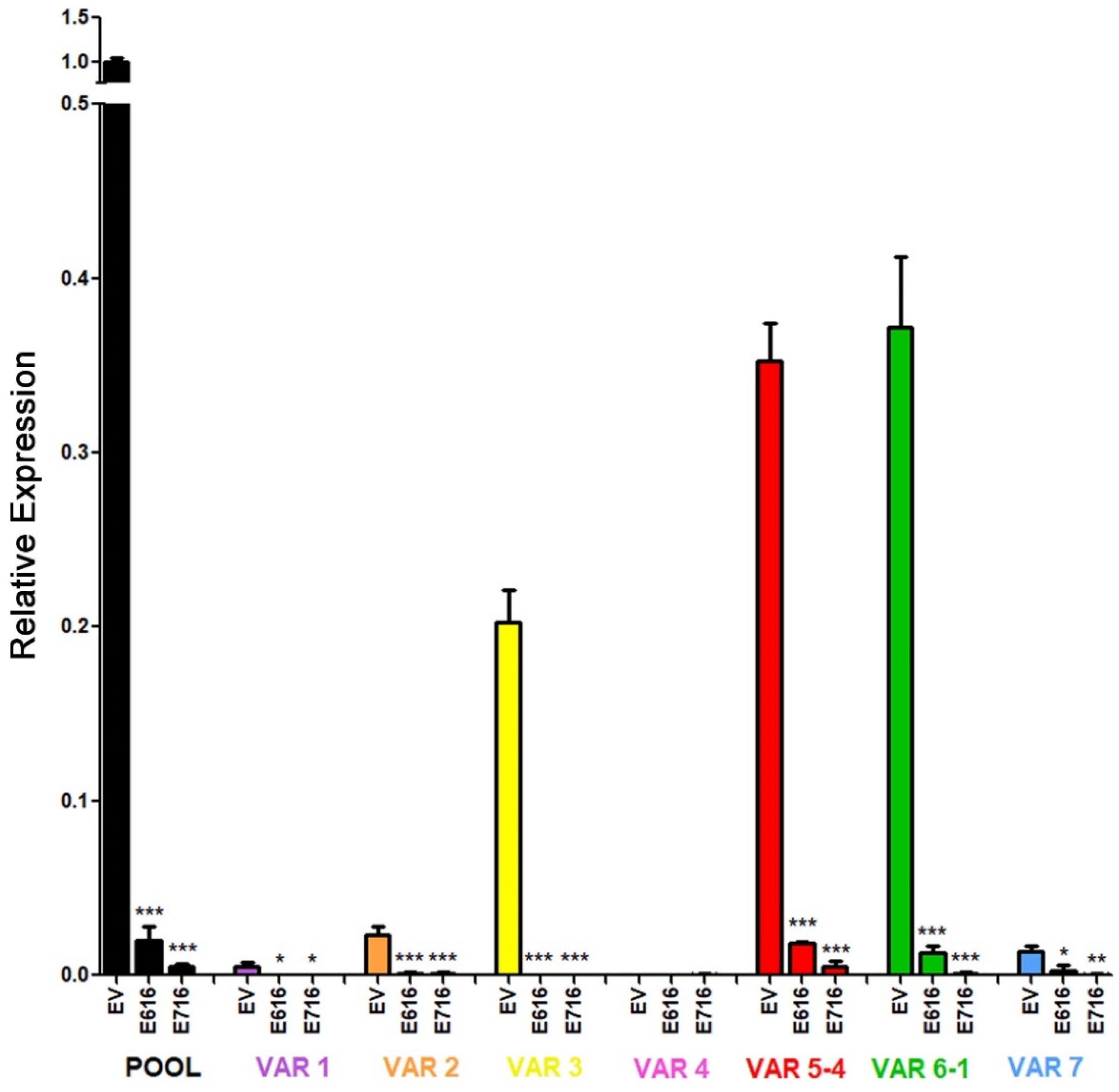 Cells Free Full Text Ripor2 Expression Decreased By Hpv 16 E6 And