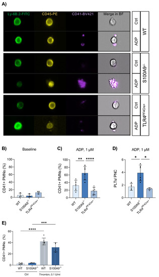 Role of S100A8/A9 in Platelet–Neutrophil Complex Formation during Acute ...
