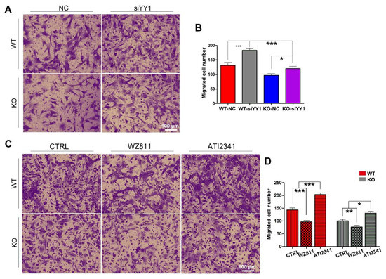miR-301a Deficiency Attenuates the Macrophage Migration and ...