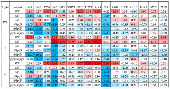 Cells | Free Full-Text | Independent Responses of Photosynthesis and ...