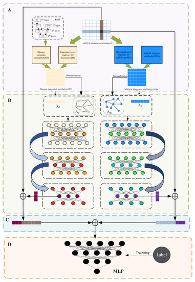 Cells | Free Full-Text | SGAEMDA: Predicting miRNA-Disease Associations ...