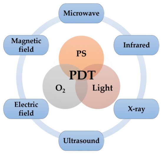 Cells | Free Full-Text | Enhanced Photodynamic Therapy: A Review of ...