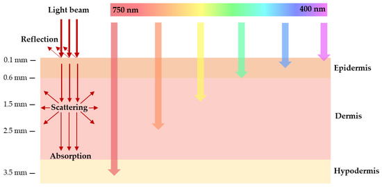 Cells | Free Full-Text | Enhanced Photodynamic Therapy: A Review of ...