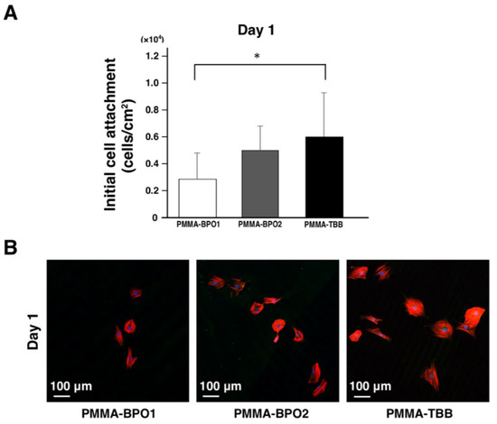 Novel Tuning of PMMA Orthopedic Bone Cement Using TBB Initiator: Effect ...