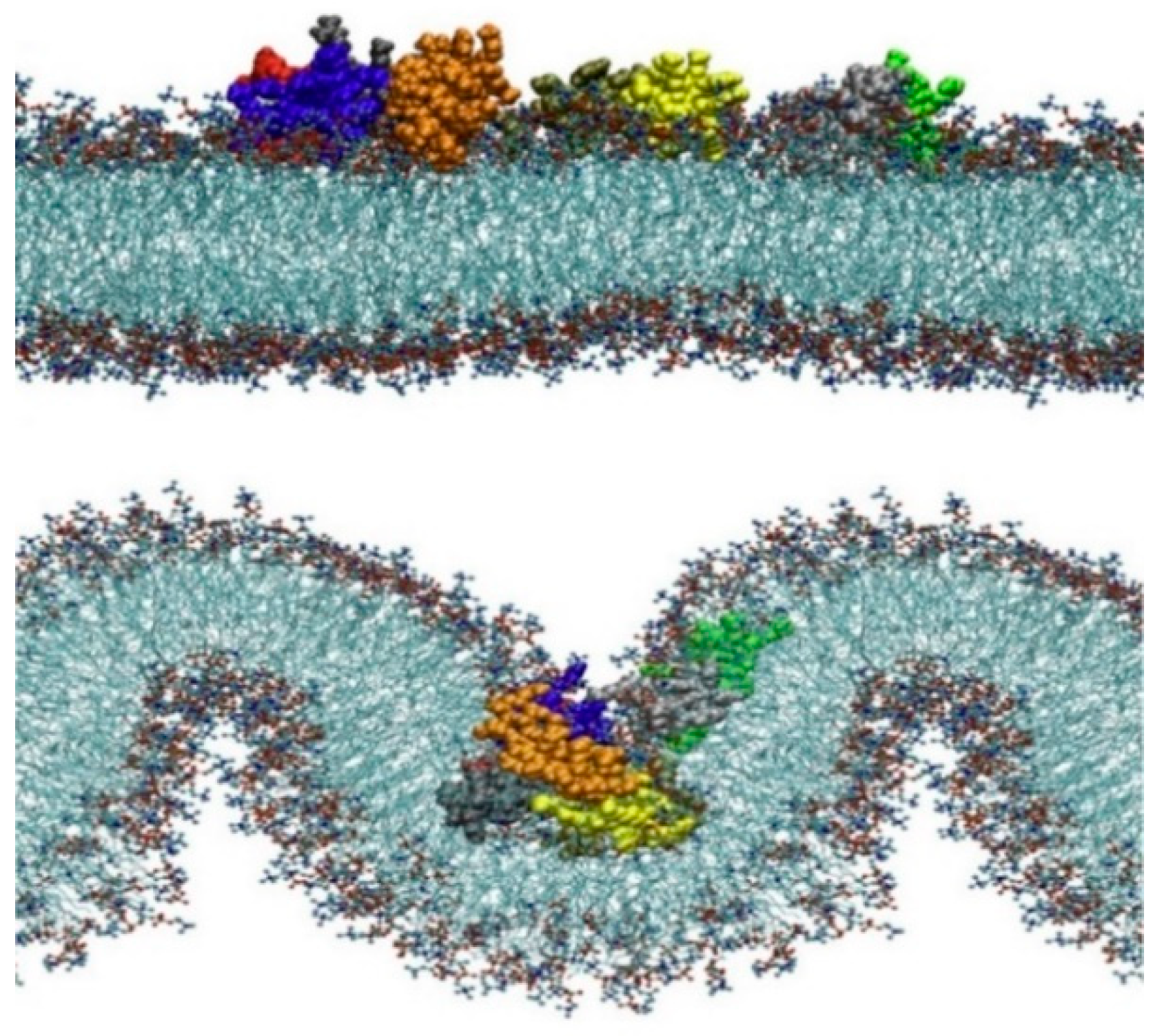 Recent Advances of Studies on Cell-Penetrating Peptides Based on ...