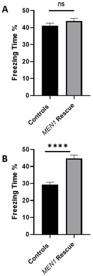 Selective Menin Deletion in the Hippocampal CA1 Region Leads to ...