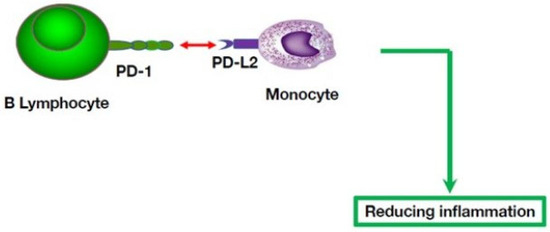 B Cells at the Cross-Roads of Autoimmune Diseases and Auto-Inflammatory ...