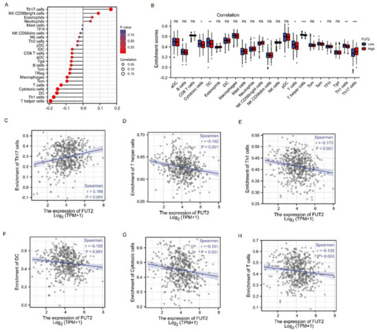 FUT2 Facilitates Autophagy and Suppresses Apoptosis via p53 and JNK ...