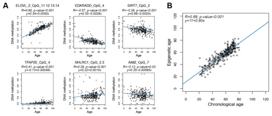 A Targeted Epigenetic Clock for the Prediction of Biological Age