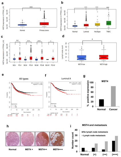 MST4: A Potential Oncogene and Therapeutic Target in Breast Cancer