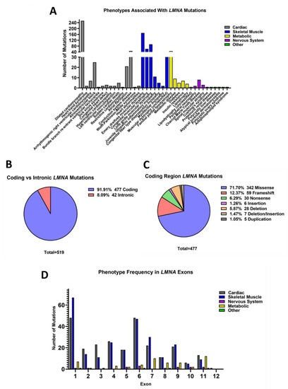 Genotype-Phenotype Correlations in Human Diseases Caused by Mutations ...